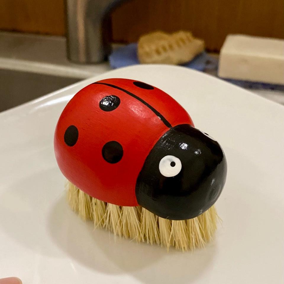 Ladybug Kidz Brush – usefull